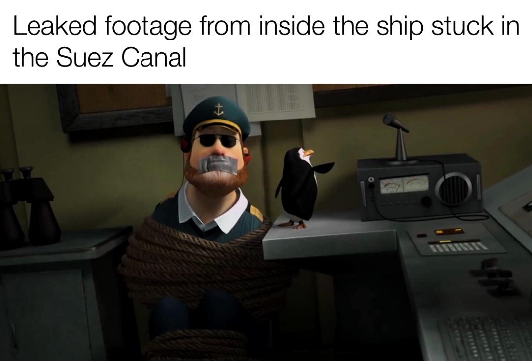 Kowalski Analysis | Scrolller