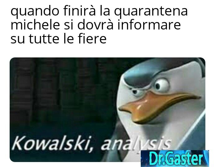 Kowalsky analysis | Scrolller