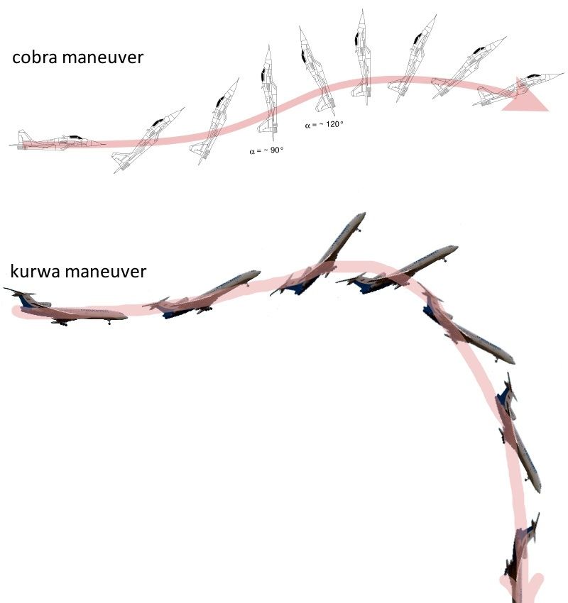 Kurwa maneuver | Scrolller