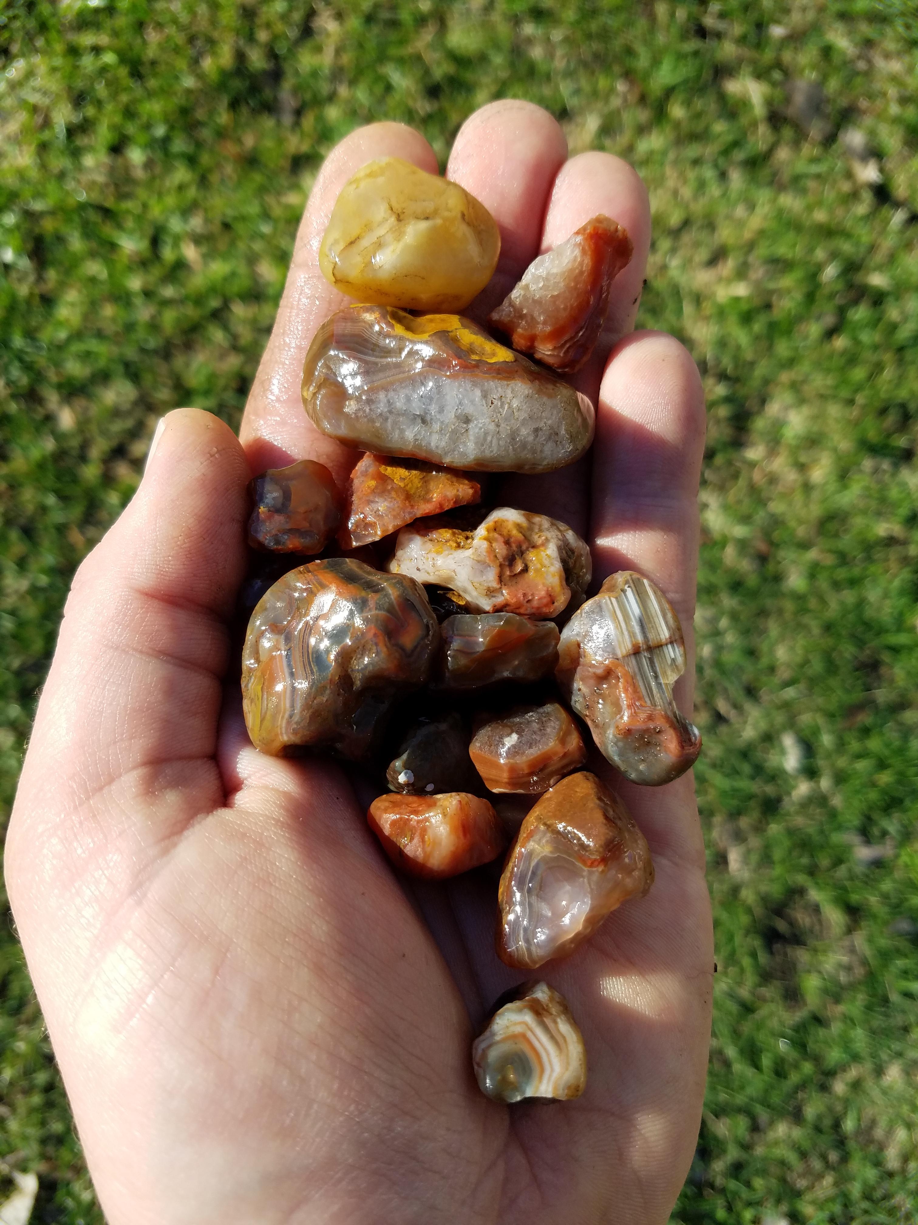 Lake Minnetonka score today. | Scrolller