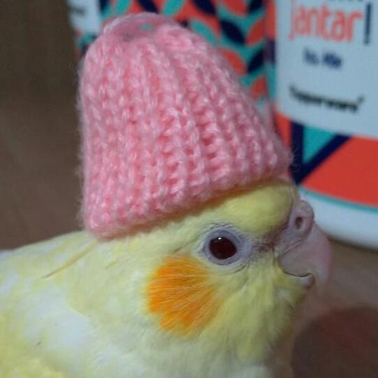 Lala Loves Her New Hat Scrolller 9600