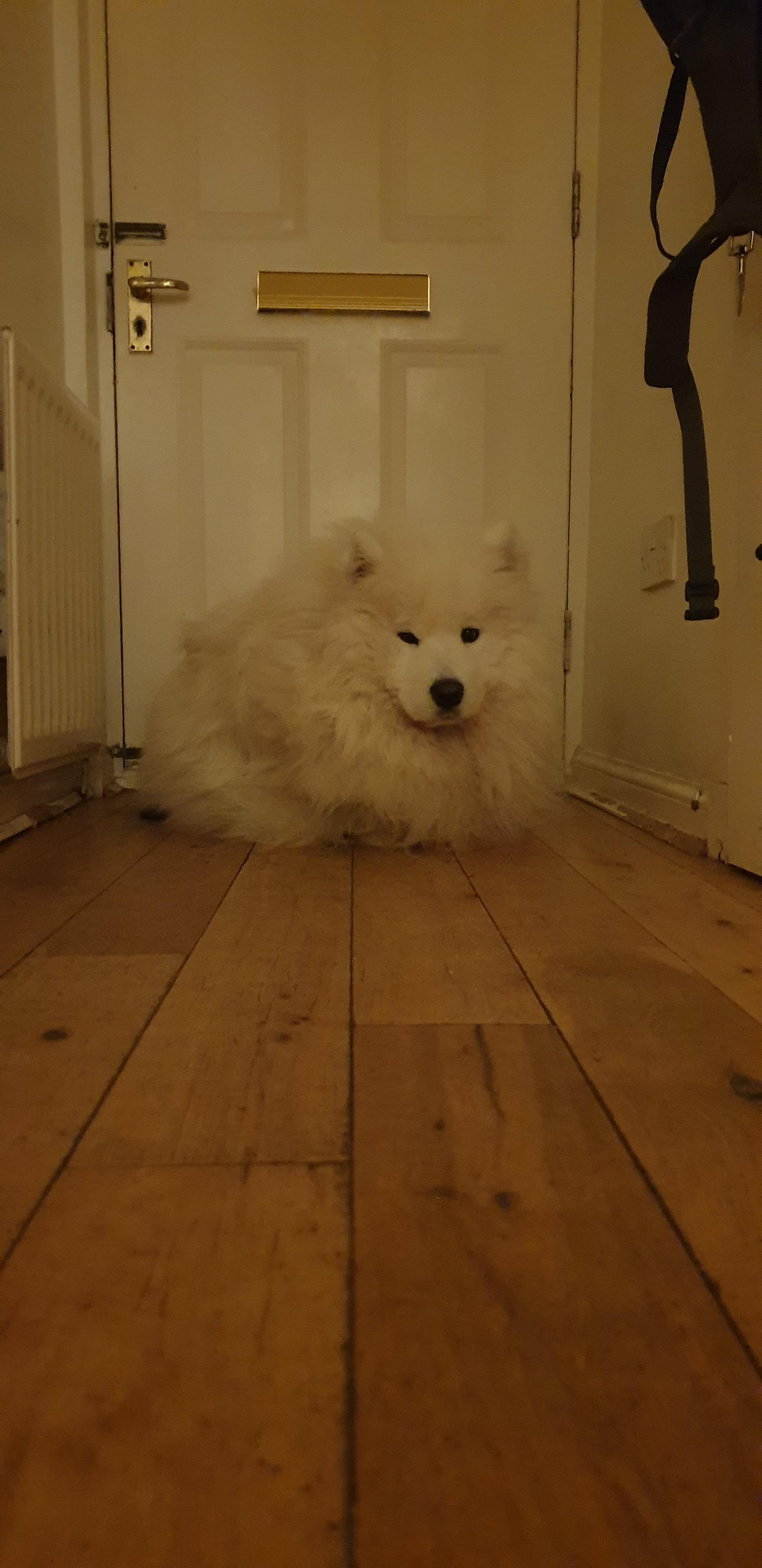 Land Cloud embracing his true legless form | Scrolller