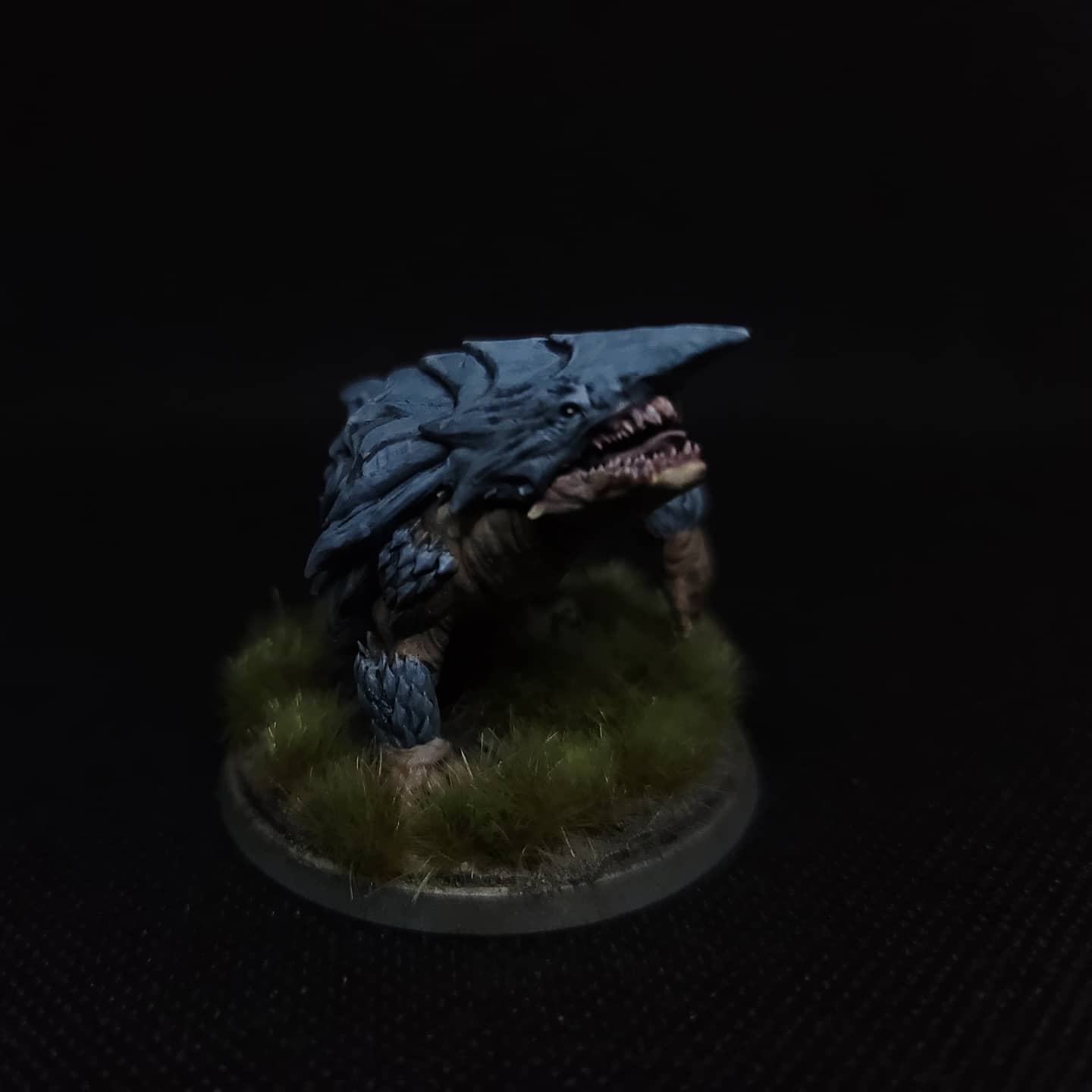 Landshark! | Scrolller