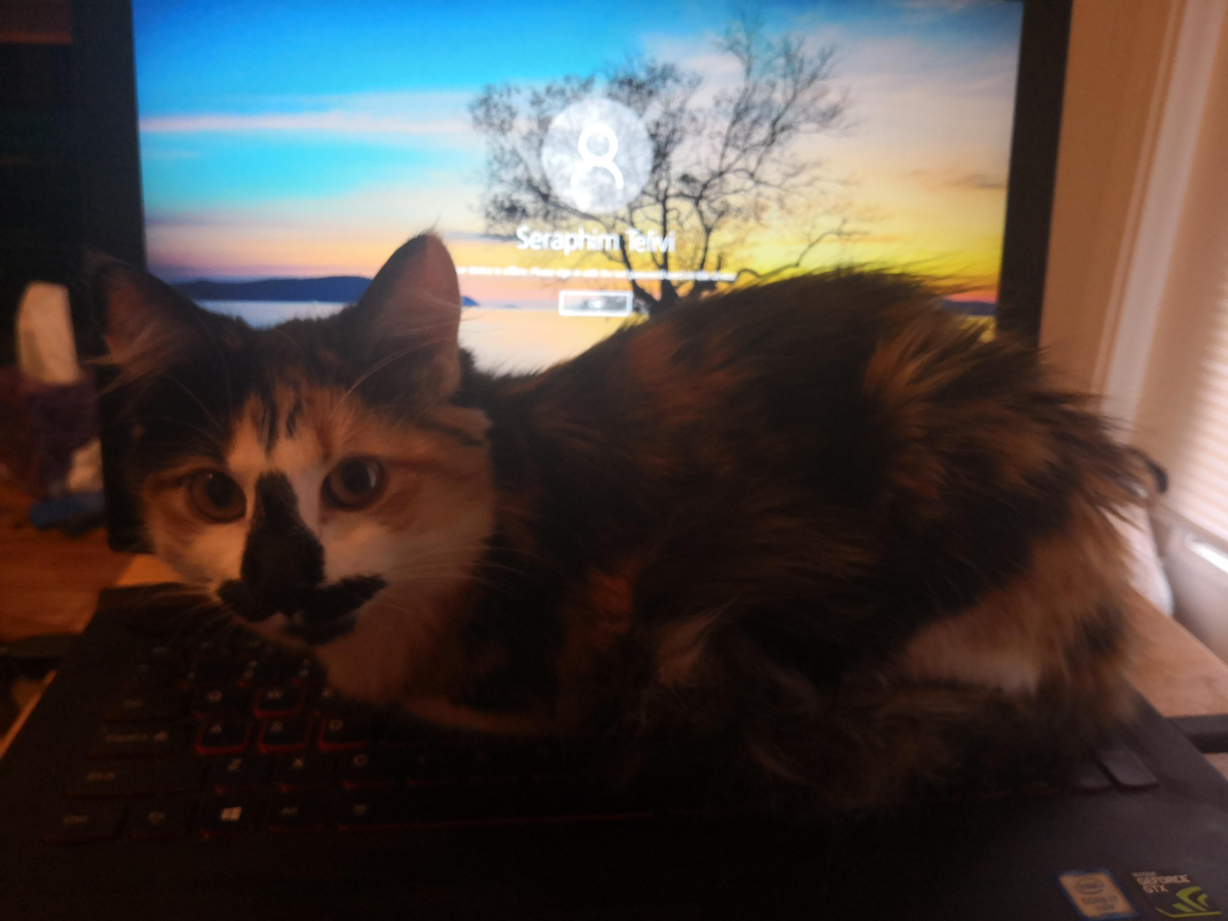 Laptop Loaf | Scrolller