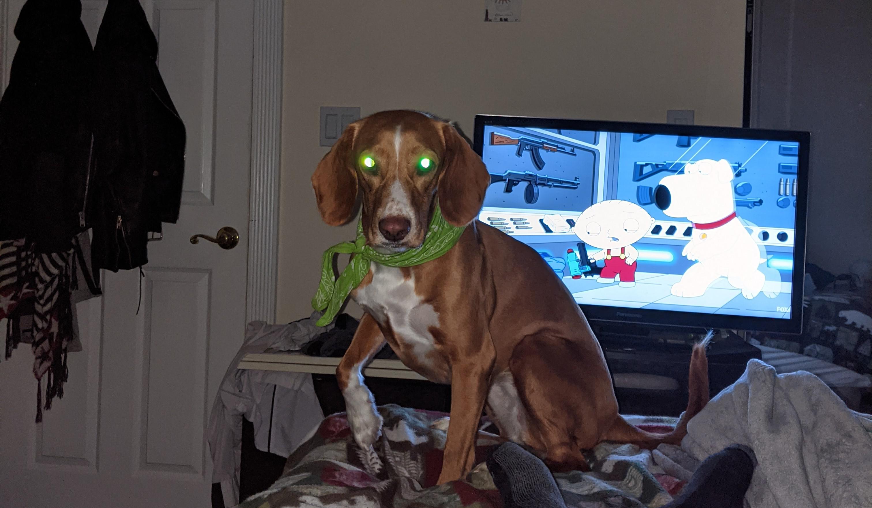 Laser Beam Eyes! | Scrolller