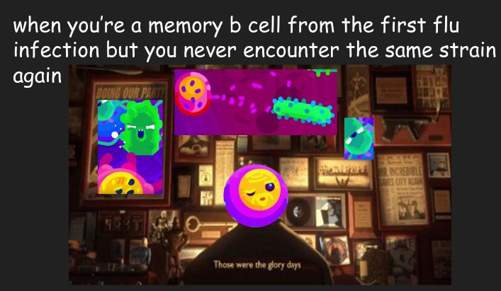 last minute AP bio review | Scrolller