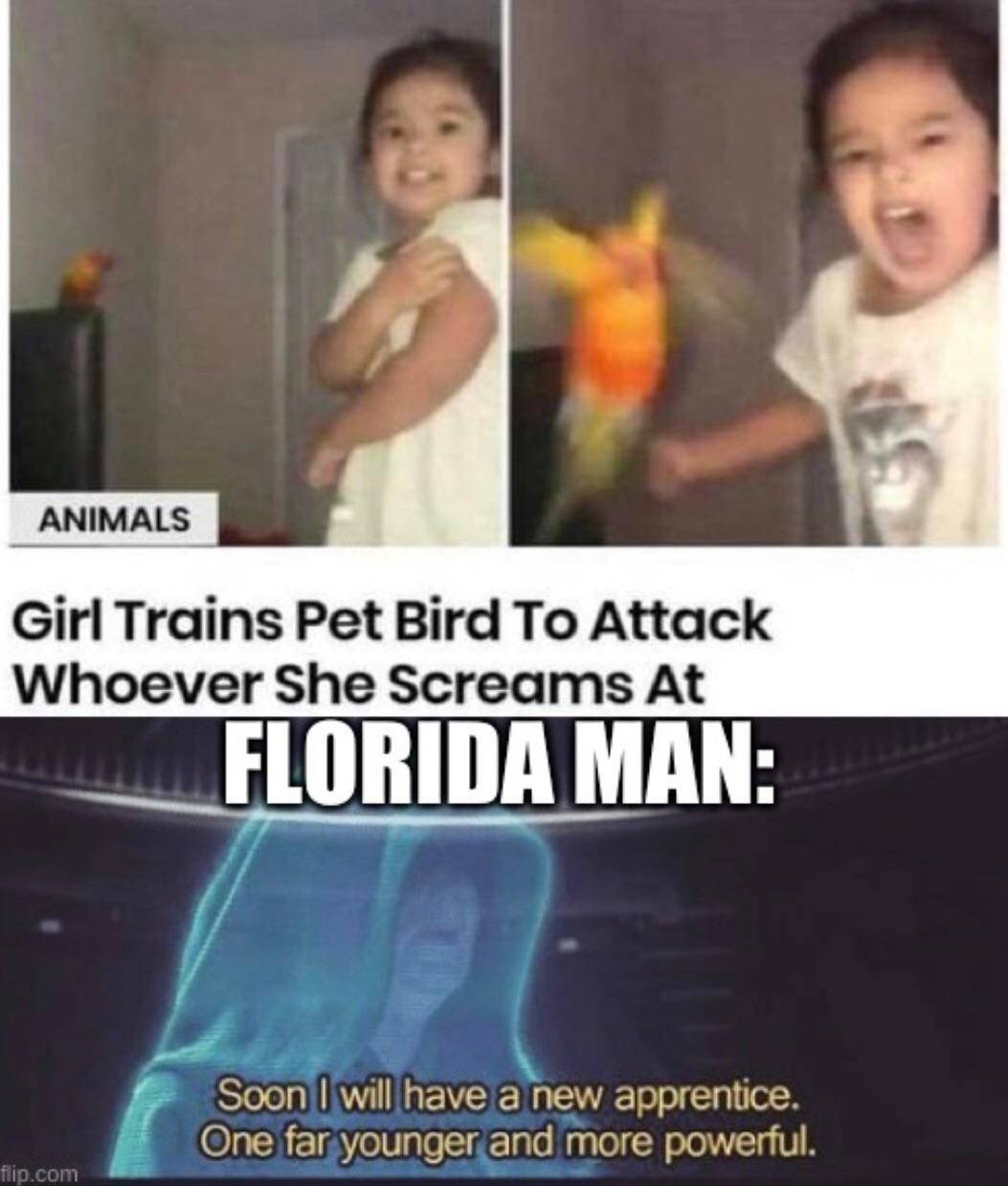 Far more powerful | Scrolller