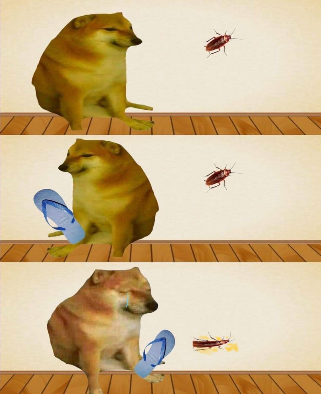 Le living with regrets has arrived | Scrolller