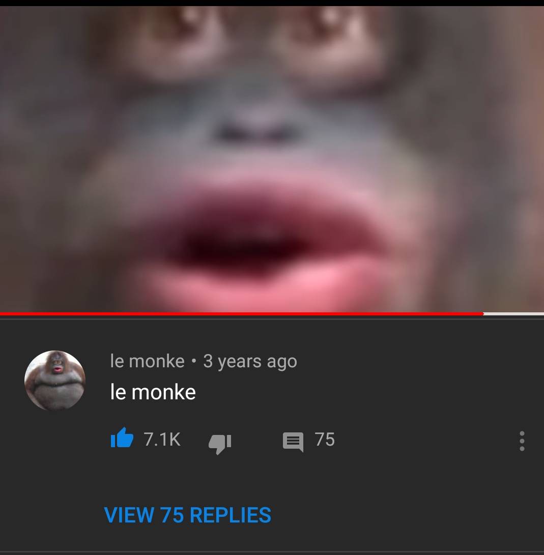 le monke | Scrolller