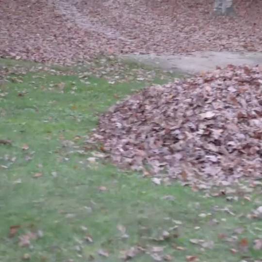 Leaf-Blowing Dad Scared by Kids | Scrolller