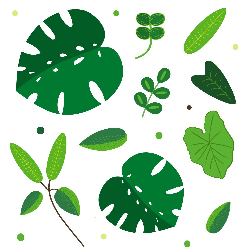Leaf study using Illustrator for iPad! | Scrolller
