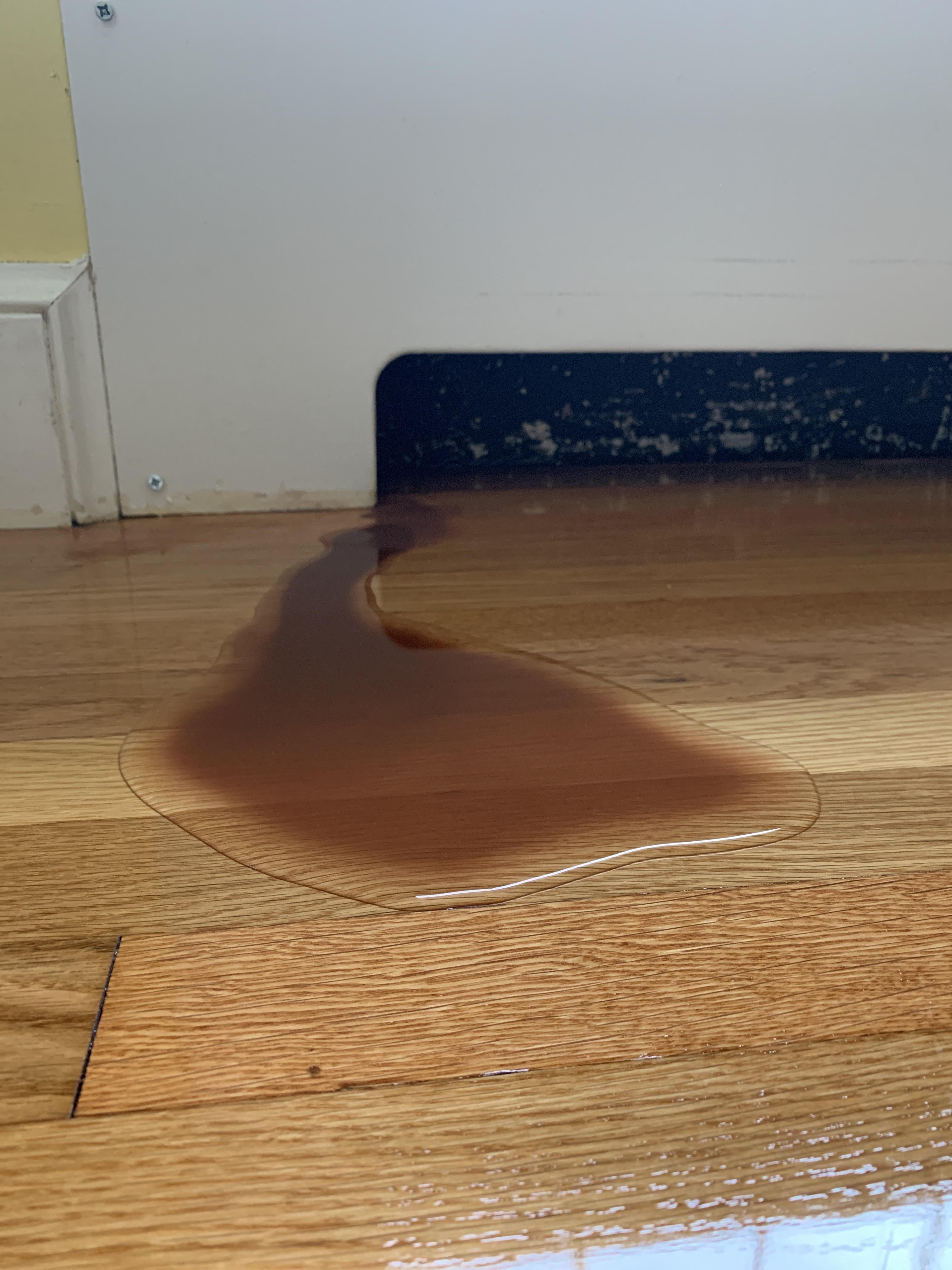 leaking from my radiator. rusted out pipe? | Scrolller