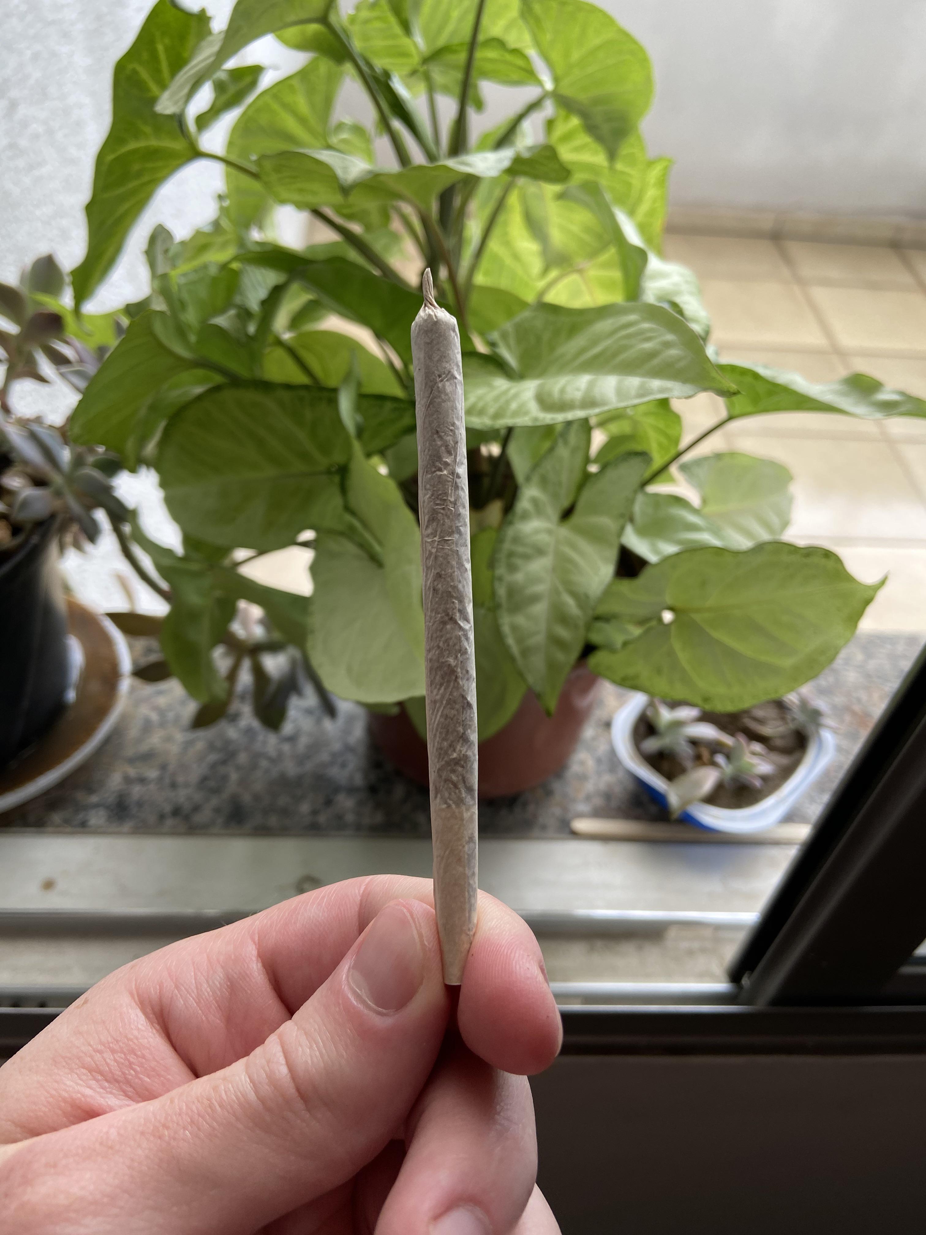 Learning 😬 | Scrolller