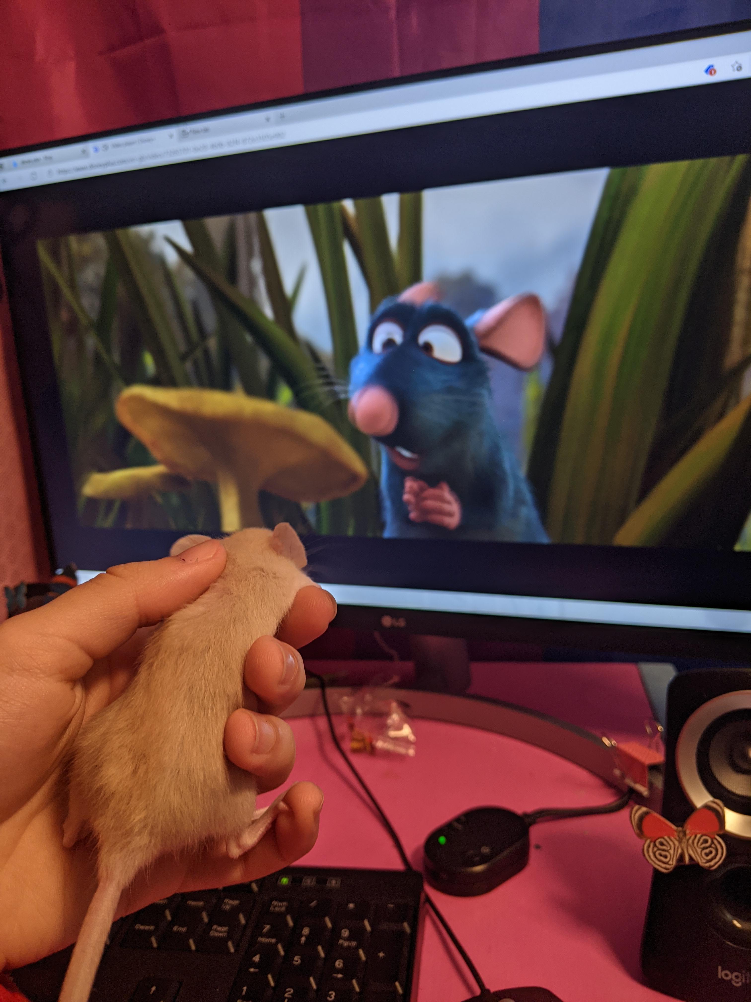 Learning About Her History | Scrolller