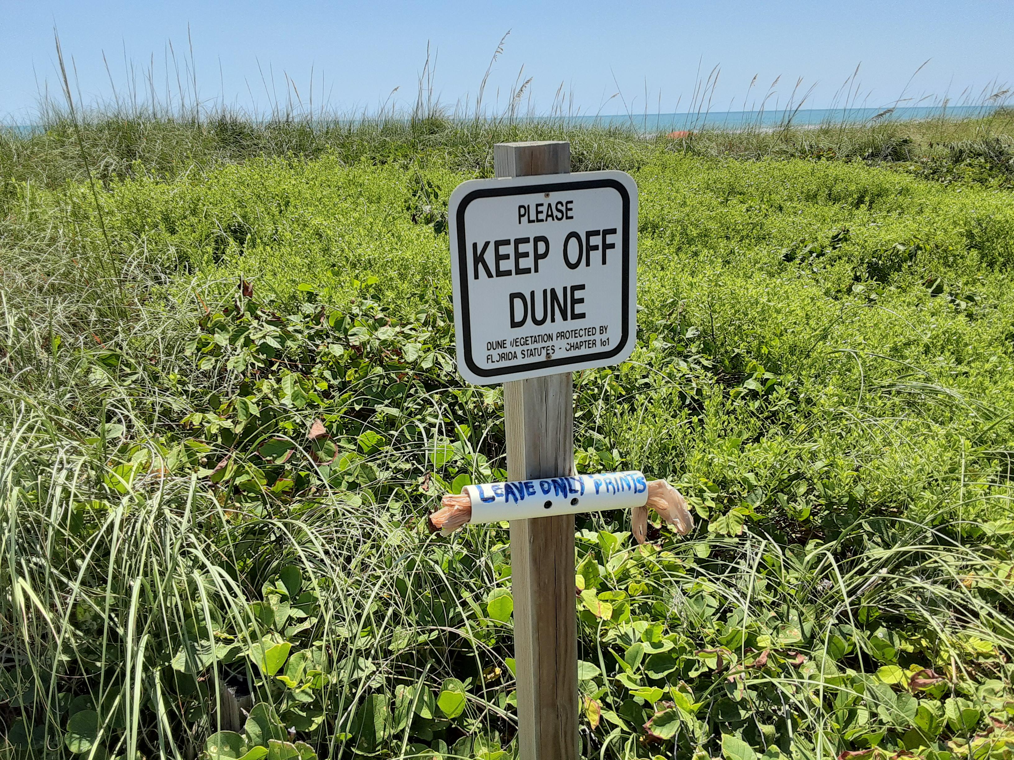 Leave only prints | Scrolller