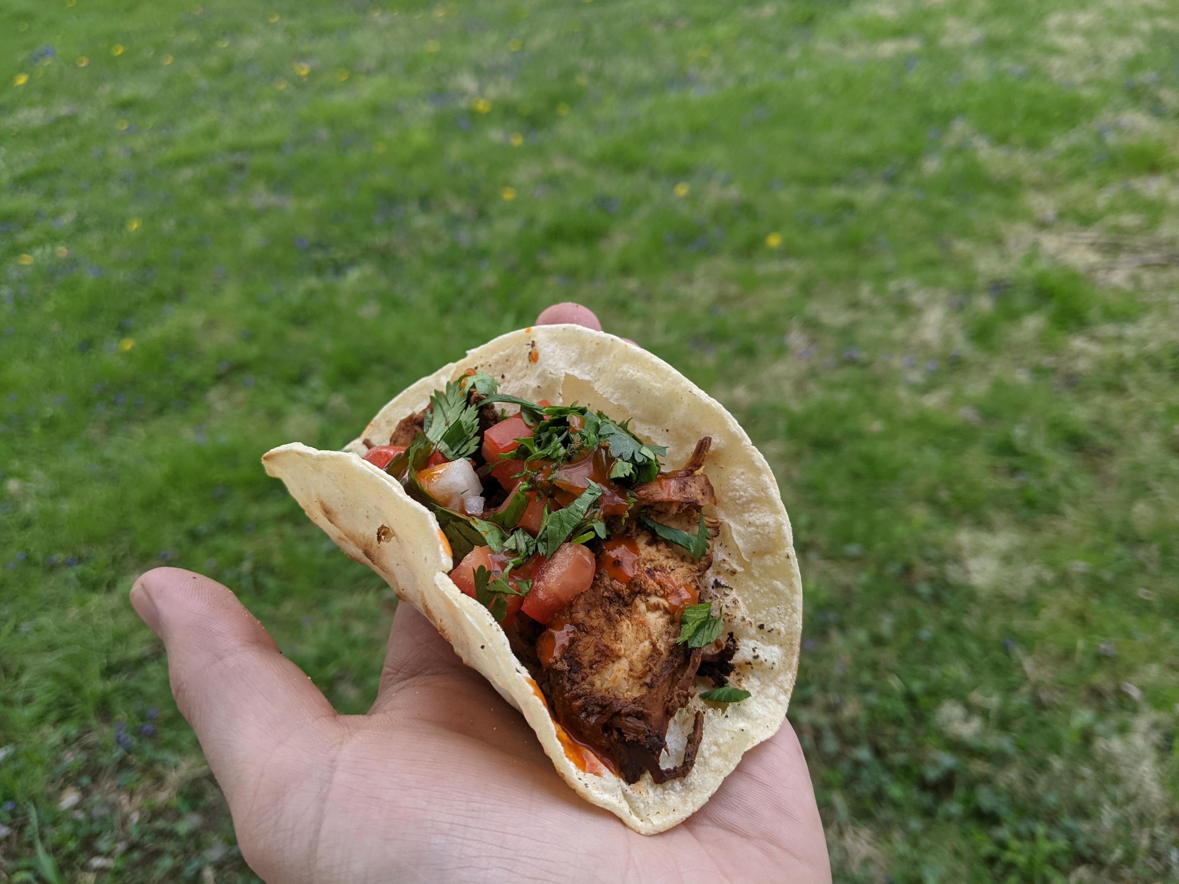 Leftover chipotle chicken tacos | Scrolller