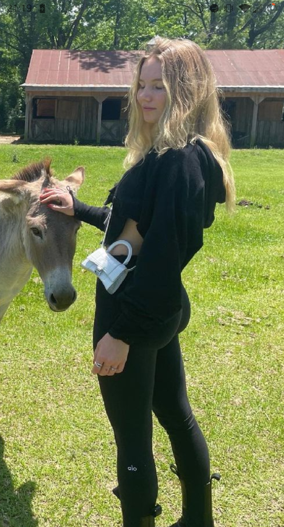 Legs, ass and a donkey | Scrolller