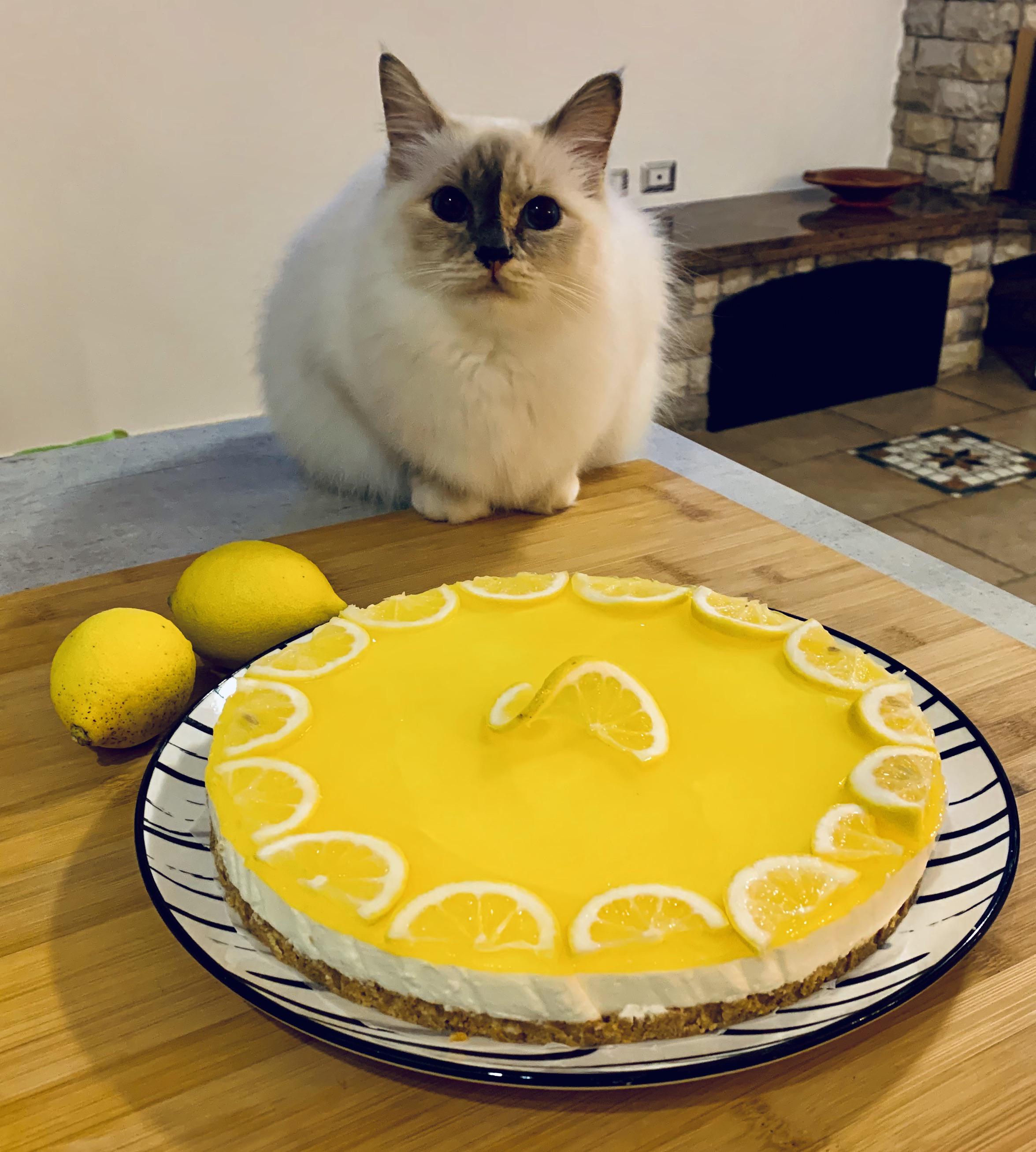 Lemon cheesecake | Scrolller