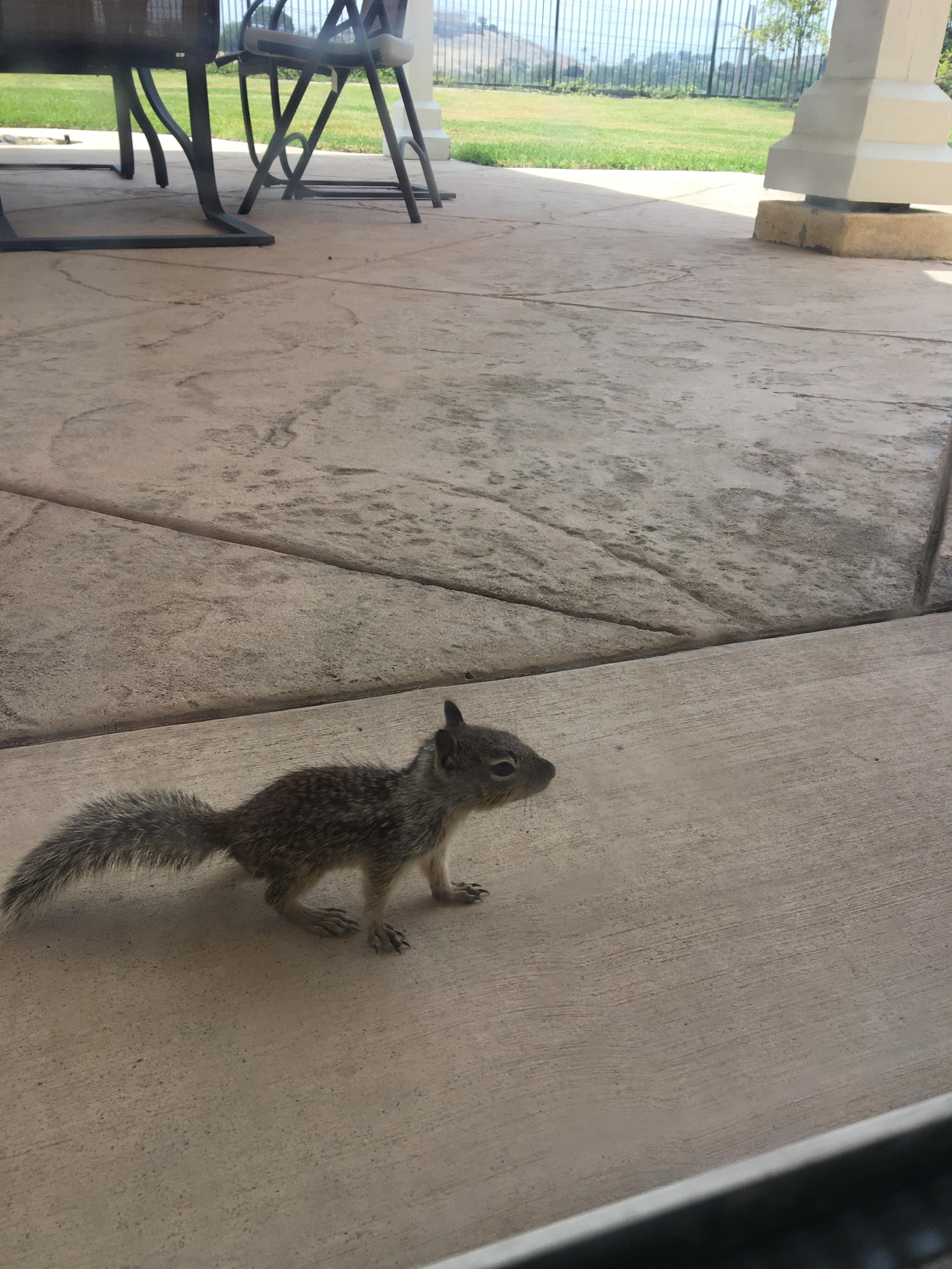 “Let him in, he looks polite!” | Scrolller