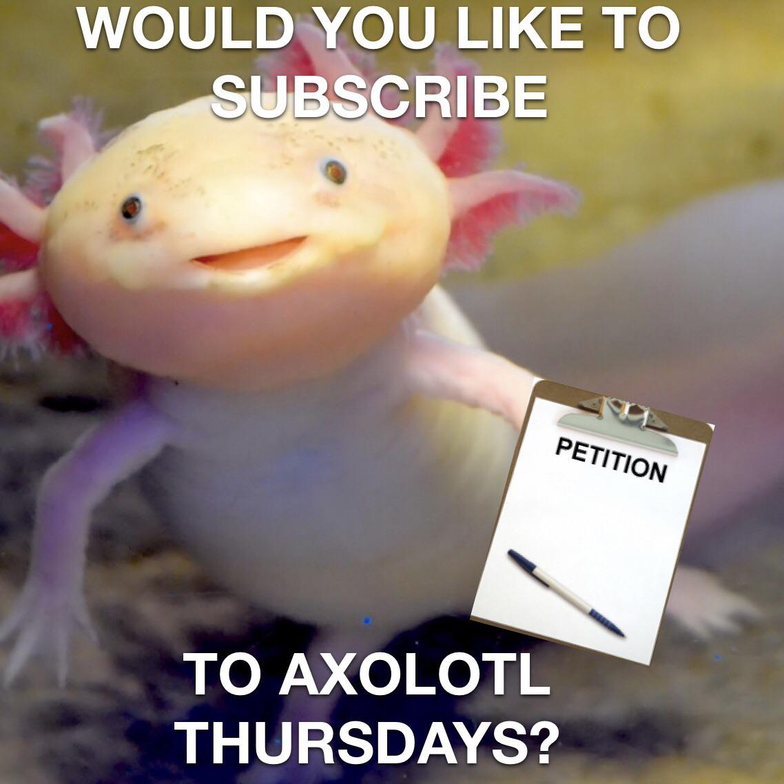 Let’s make this another trend. | Scrolller