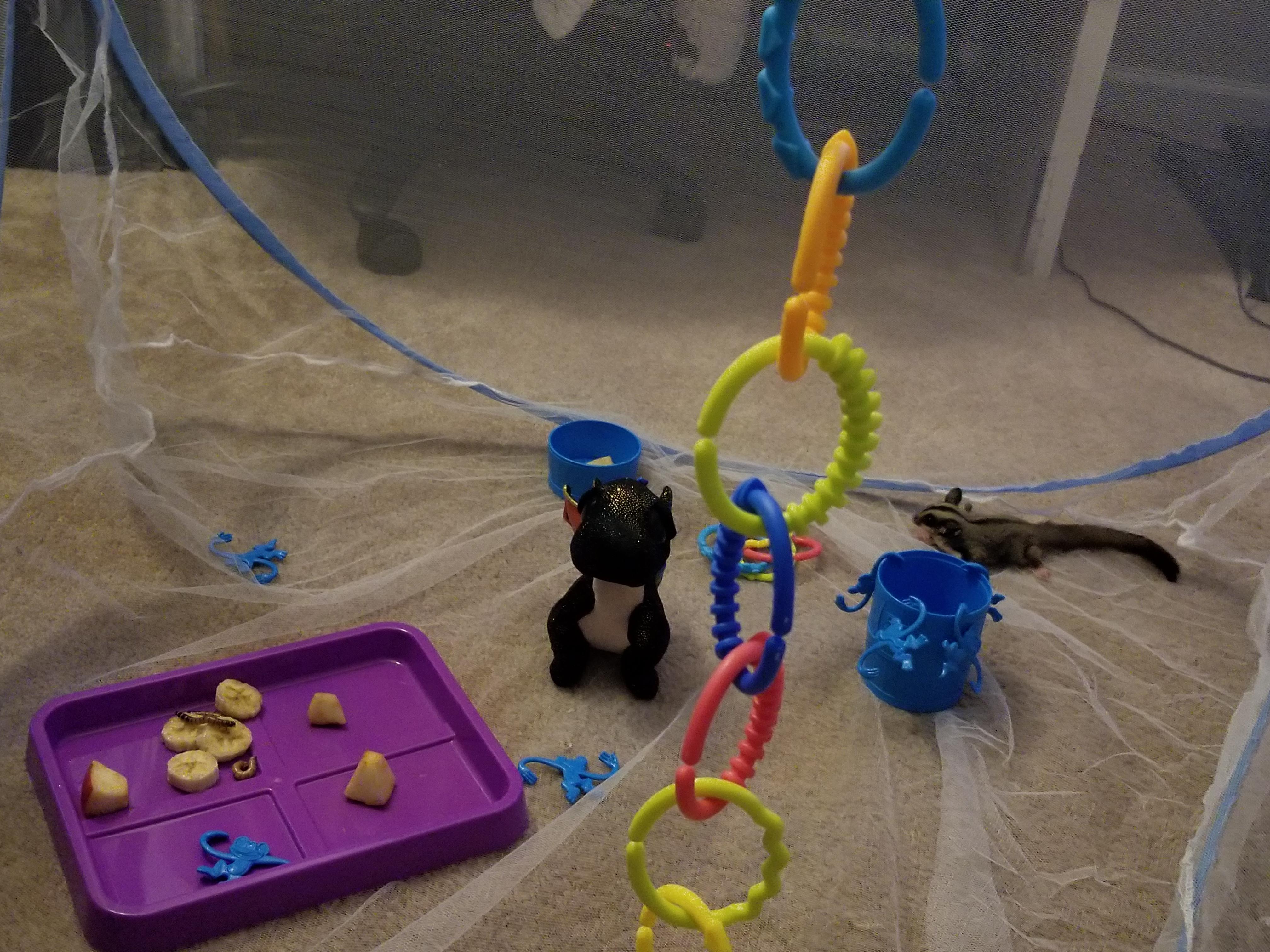 Let the bonding process begin | Scrolller