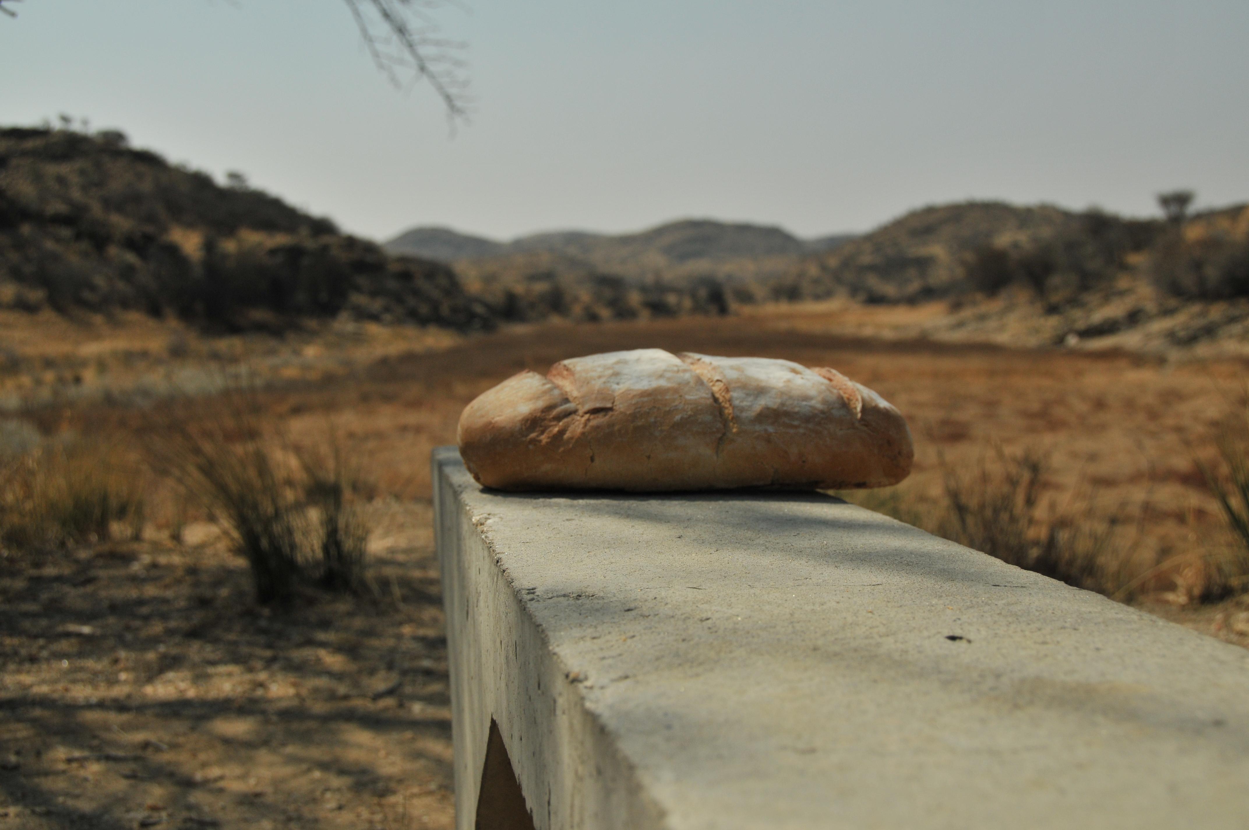 Let's get this bread | Scrolller