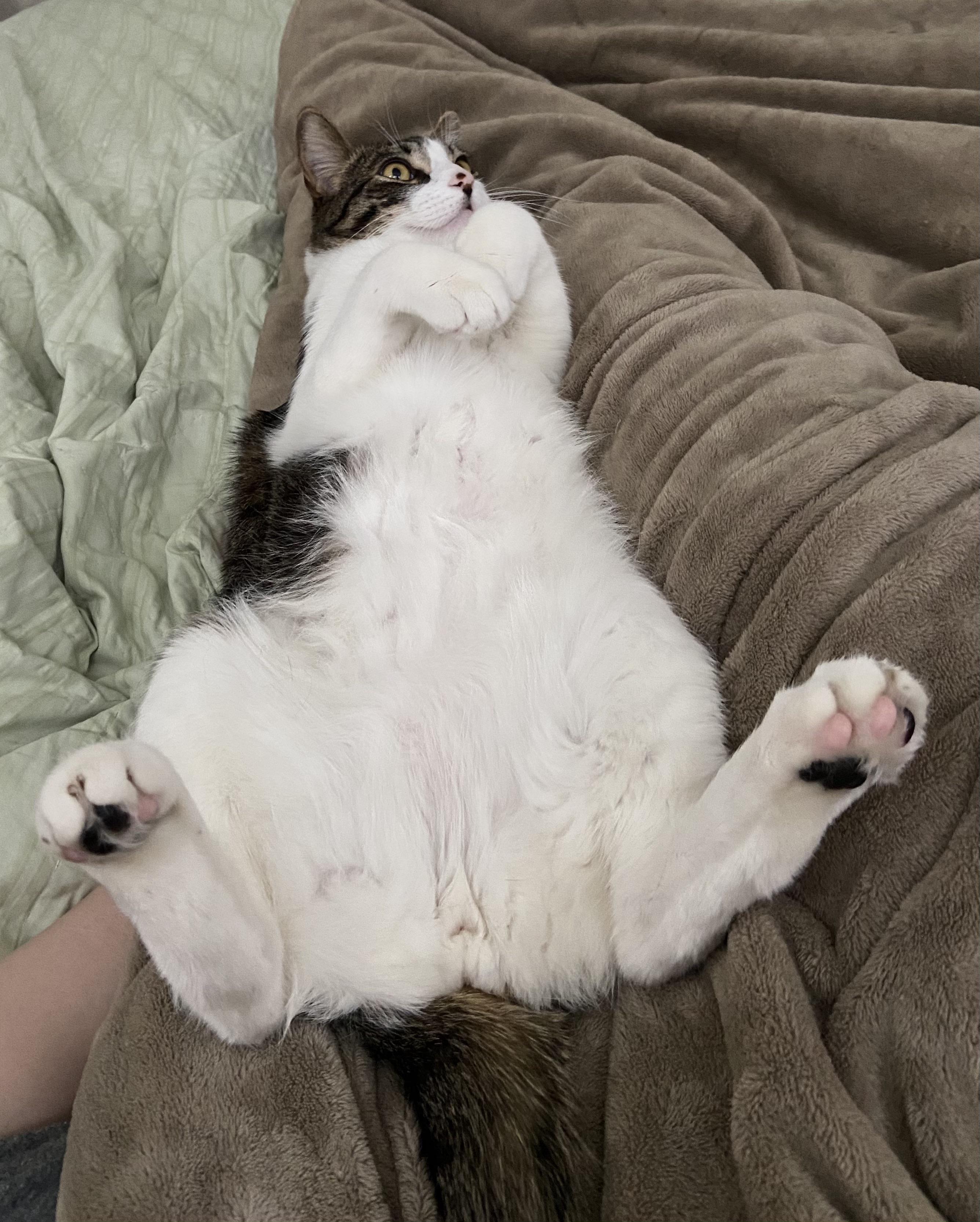 Lettin' it all hang out | Scrolller