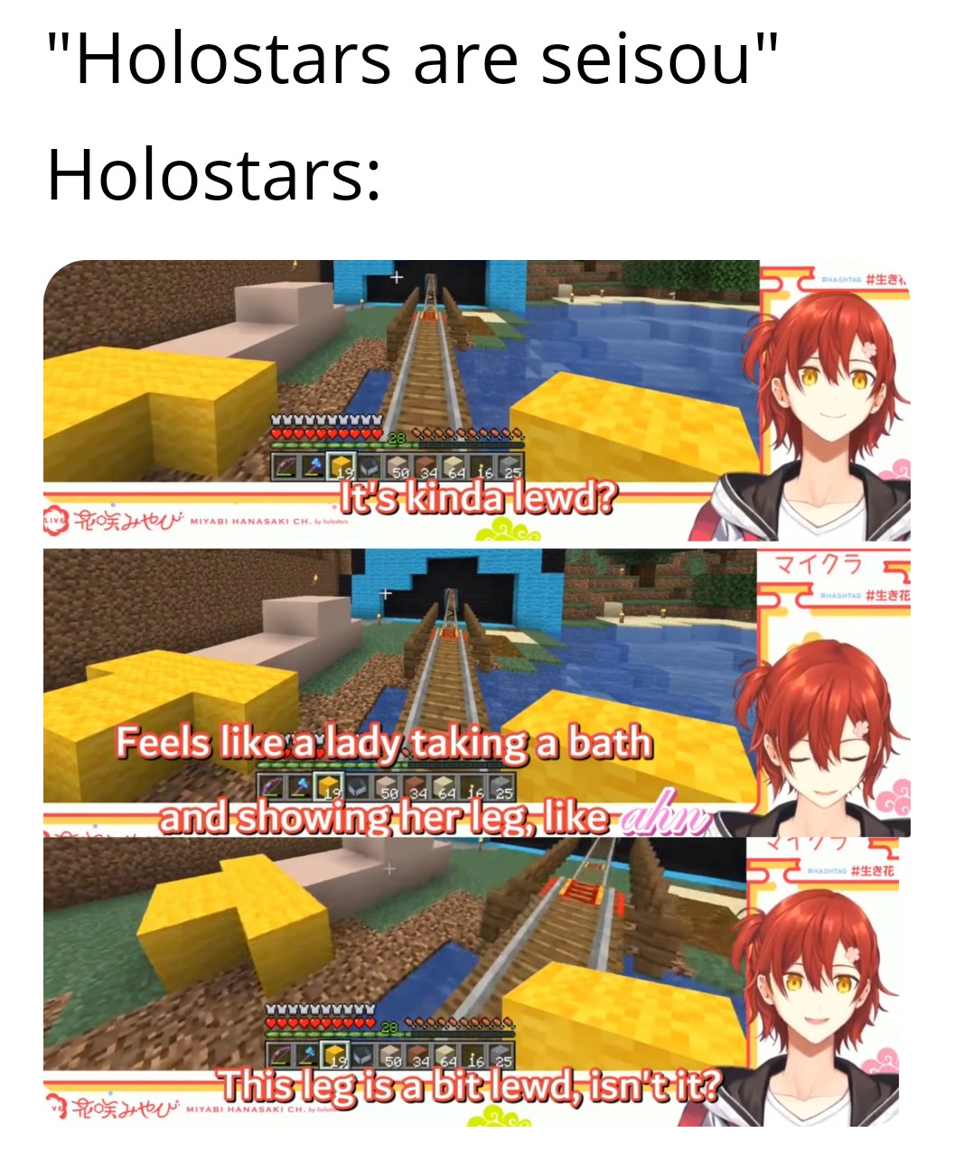 Lewd Holepen | Scrolller