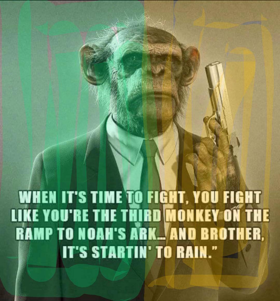 Libcenter comedy | Scrolller