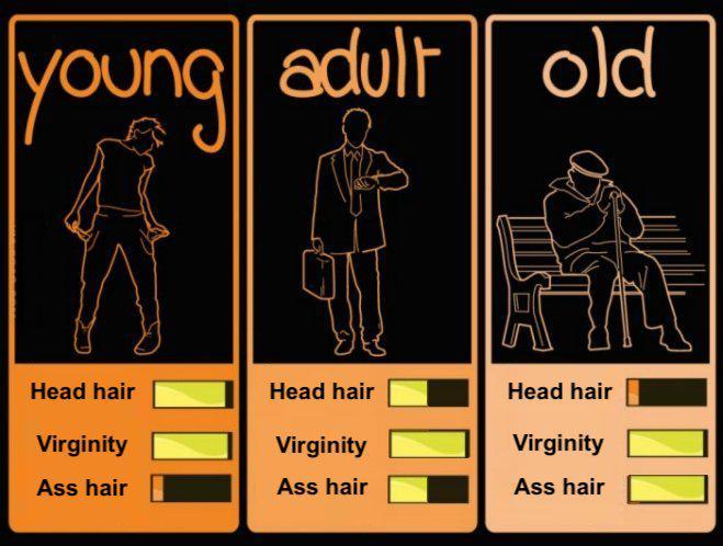 Life cycle of a redditor | Scrolller