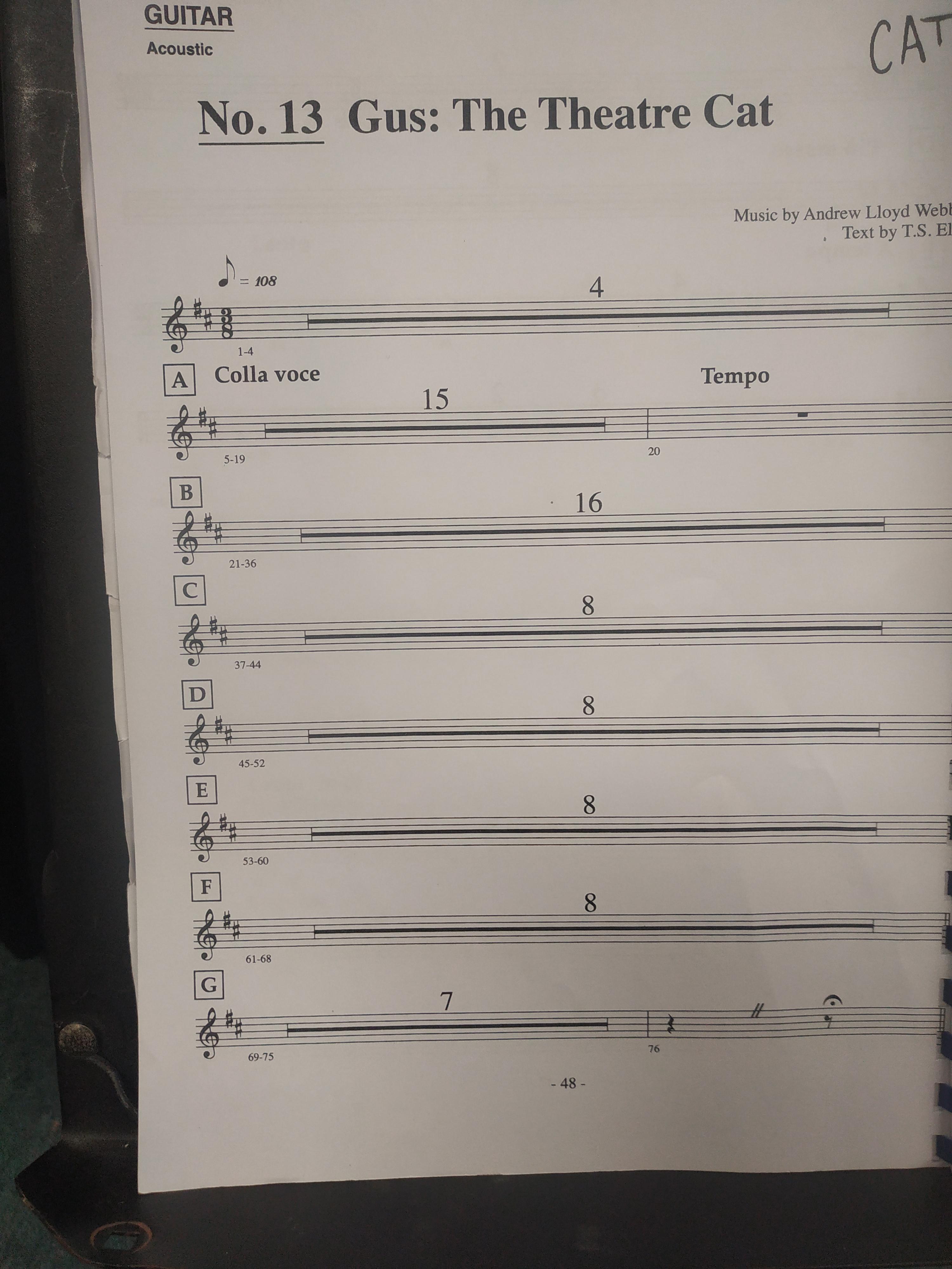 Life of a guitar in an orchestra. | Scrolller