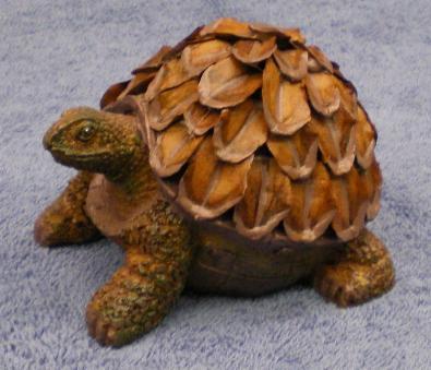 Lifelike Pinecone Turtle | Scrolller