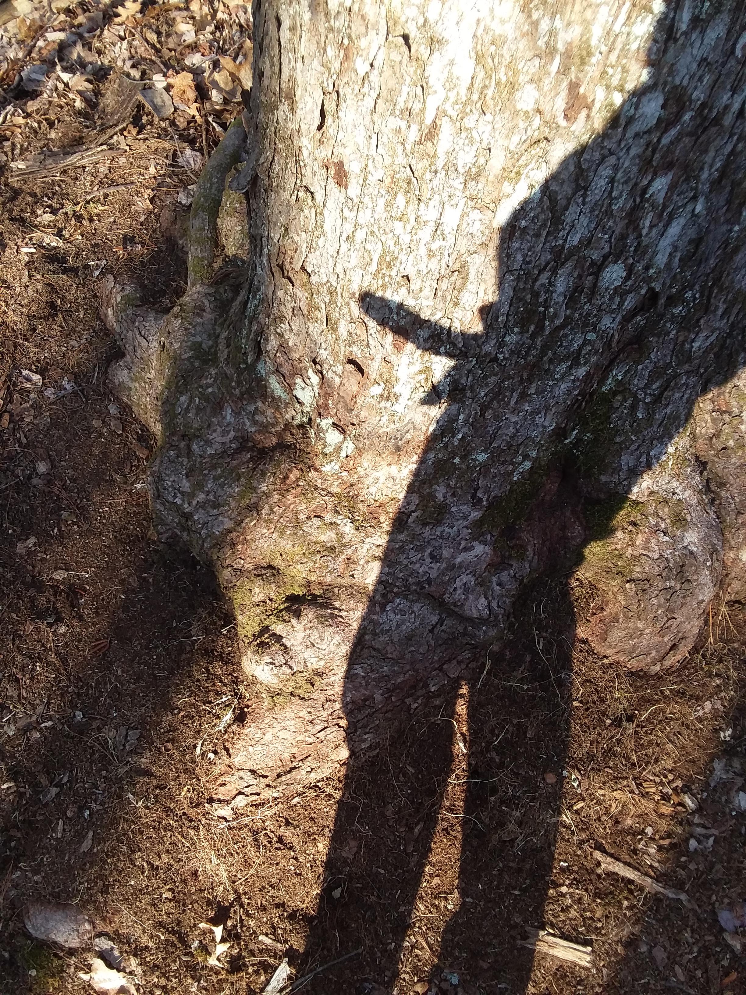 Light & shadow | Scrolller