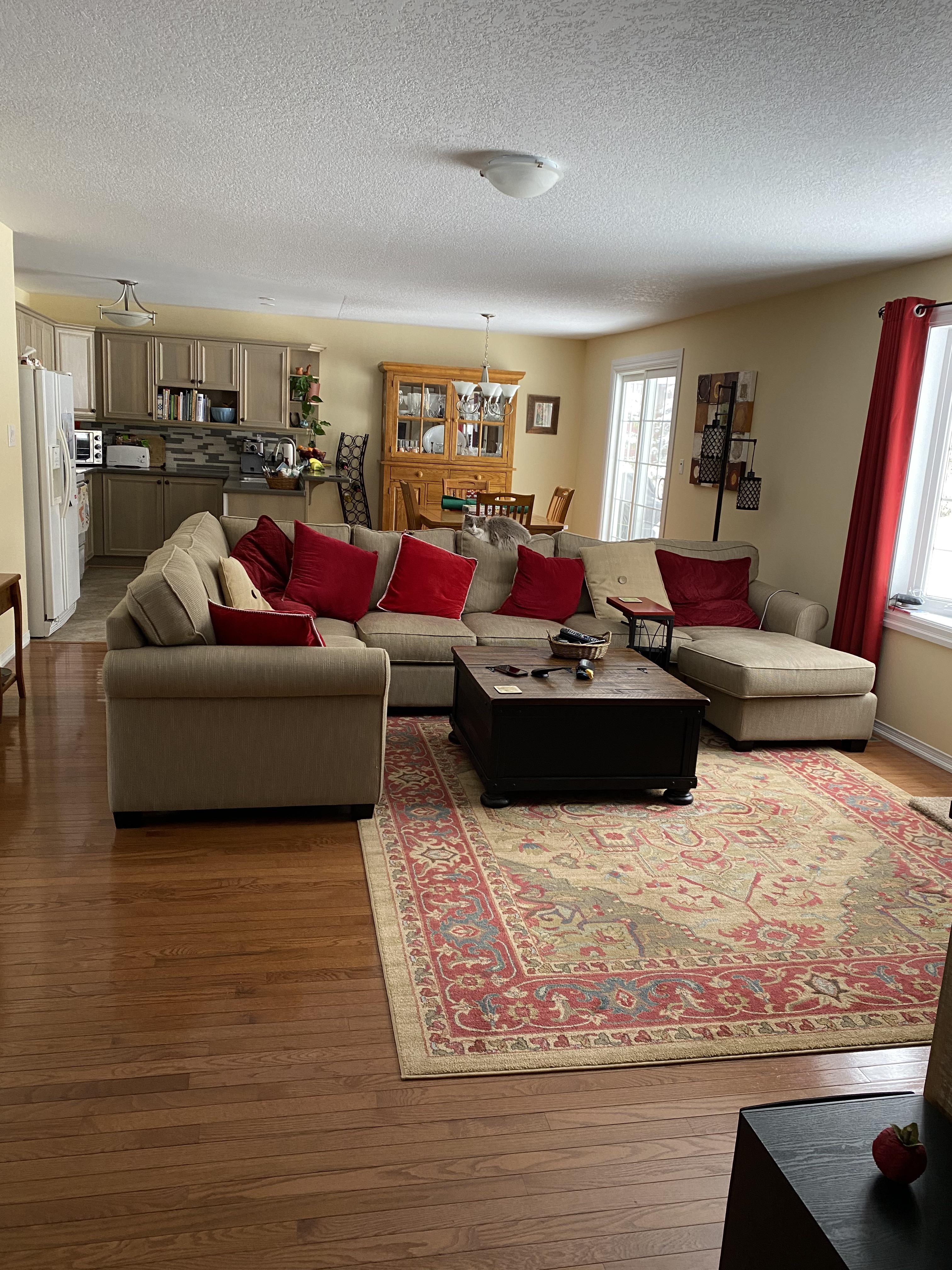 Lighting help please | Scrolller