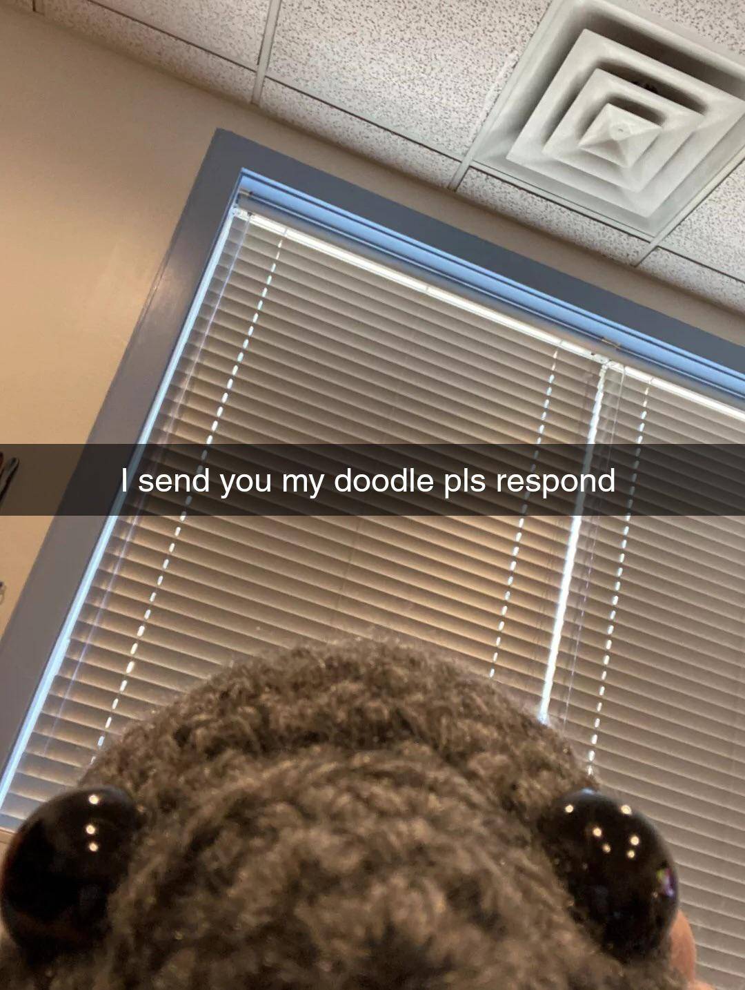 Like father like son. | Scrolller