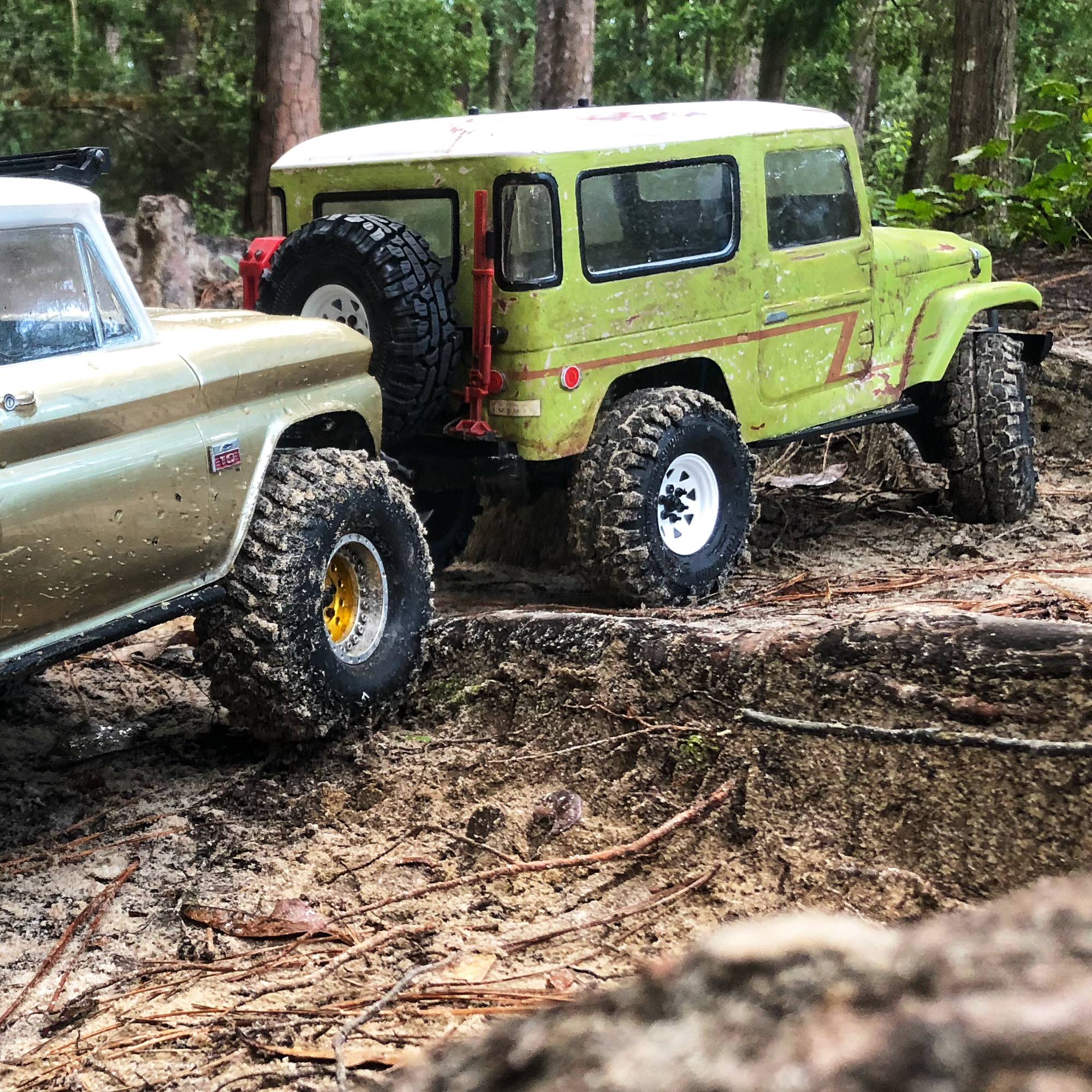 Lil afternoon excursion | Scrolller