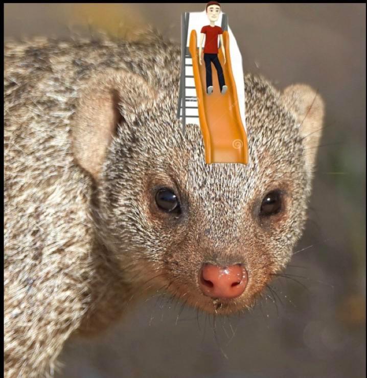 Lil durk that day they shot you | Scrolller