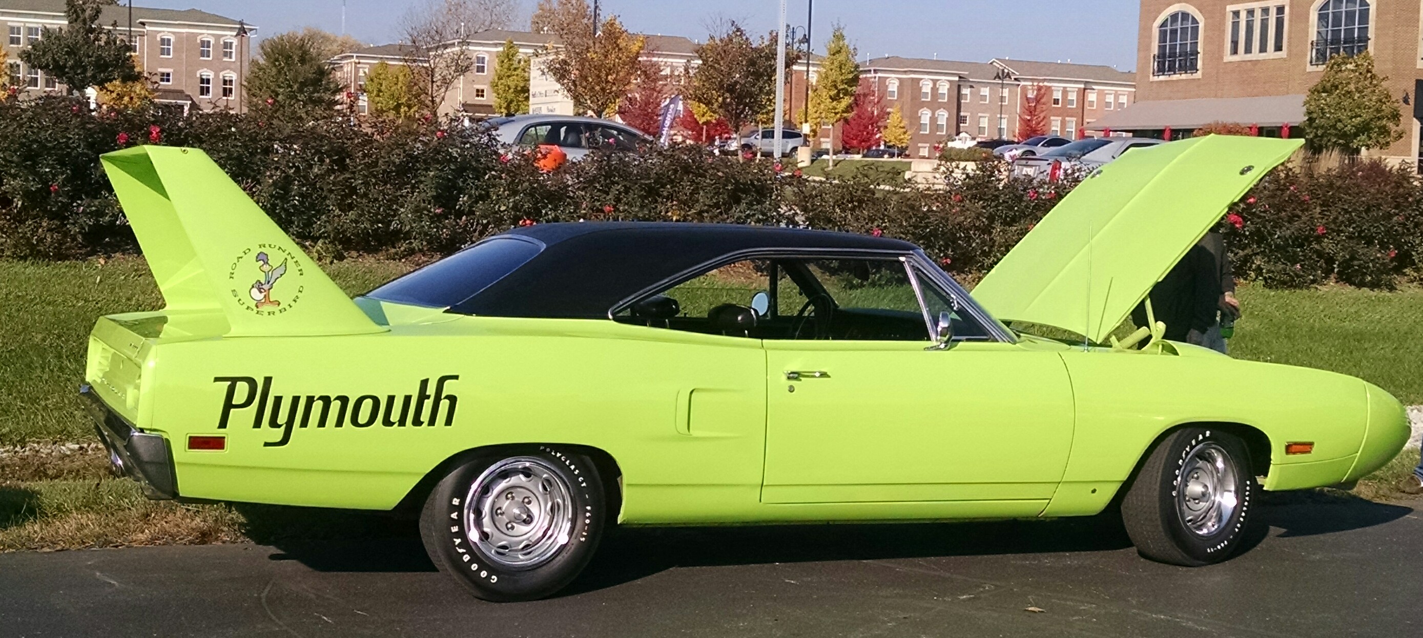 Lime Green 1970 Plymouth Superbird (additional pictures in comments) | Scrolller