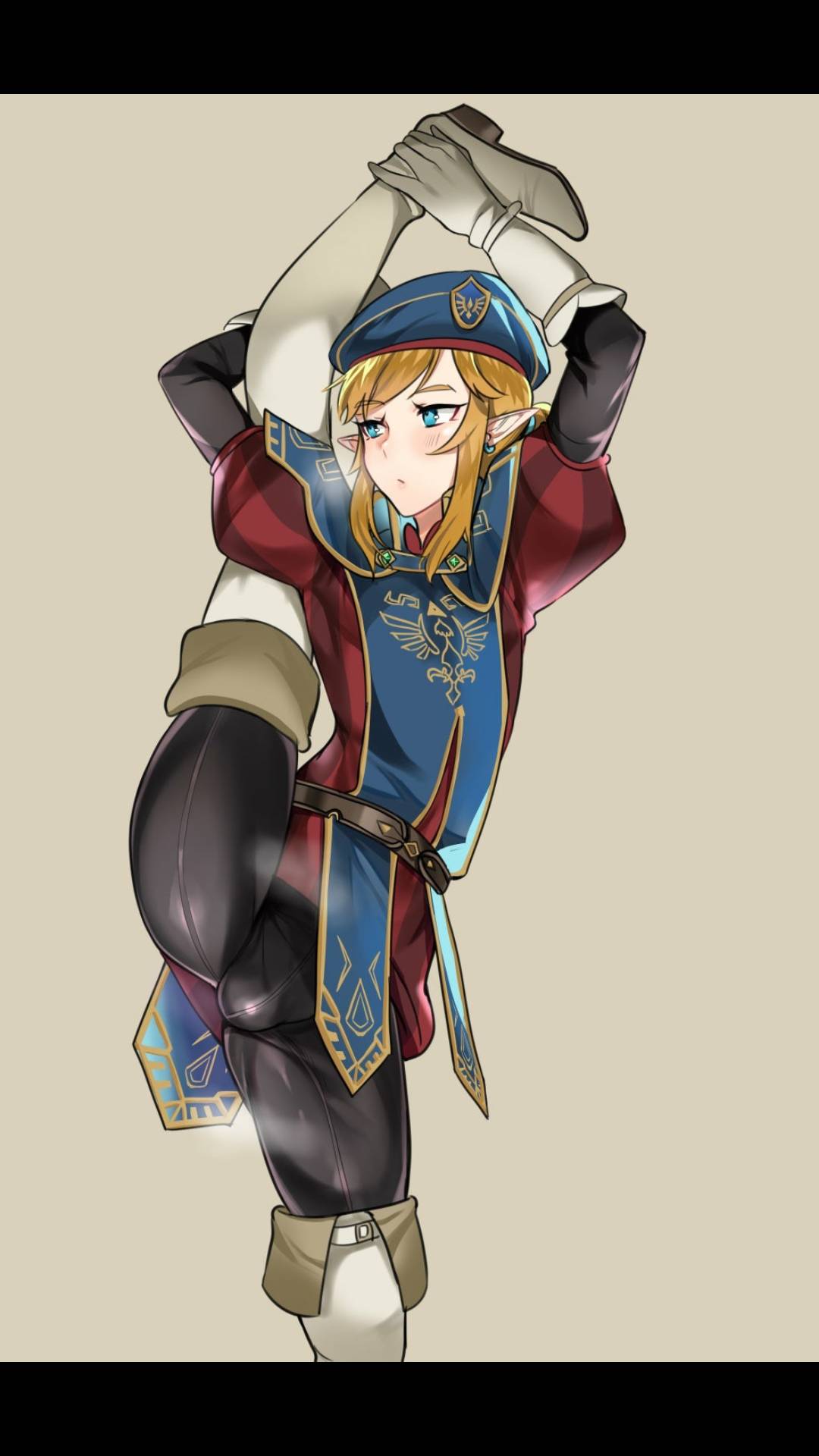 Link in royal Guard uniform | Scrolller