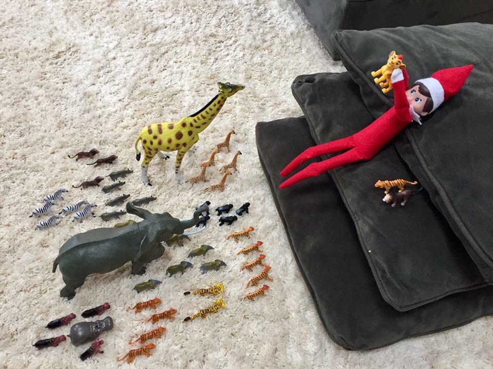 Lion Elf king | Scrolller