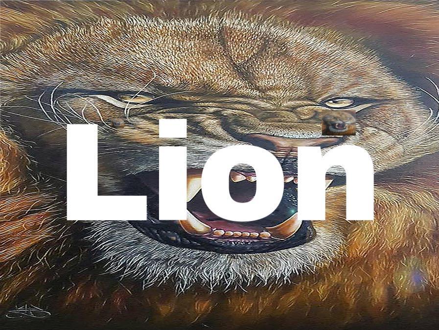 Lion lion lion lion lion | Scrolller