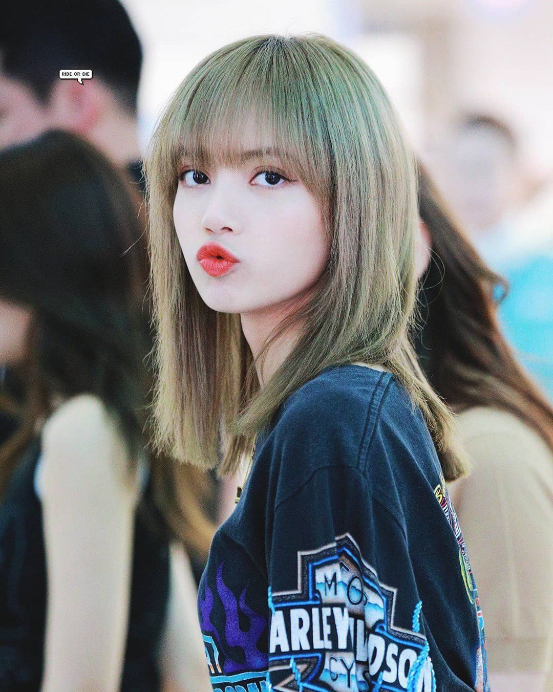 Lisa Blackpink (irtr) | Scrolller