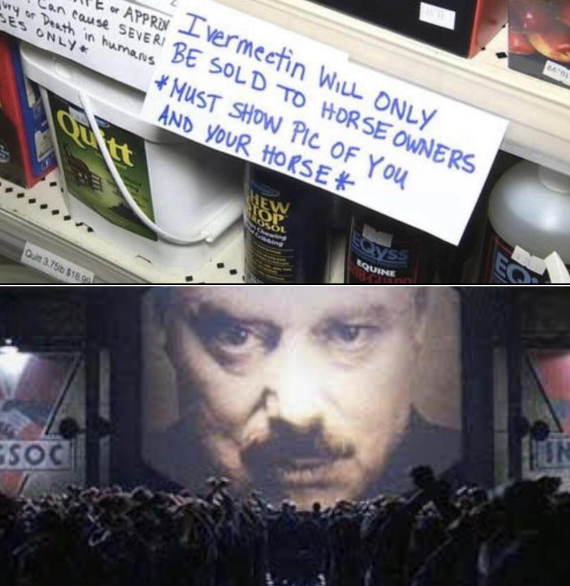 Literally 1984 | Scrolller