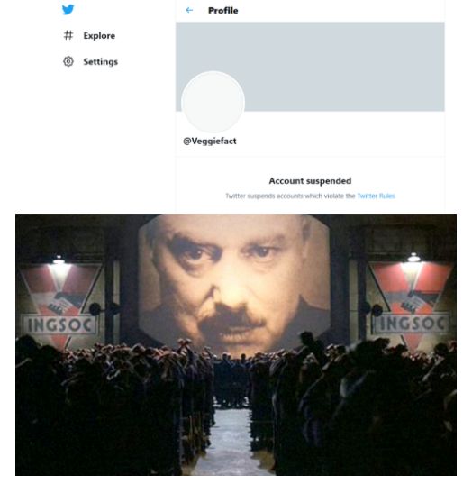 Literally 1984 | Scrolller