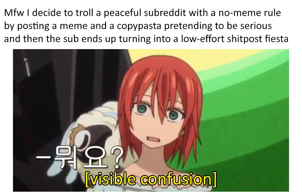 literally confused | Scrolller