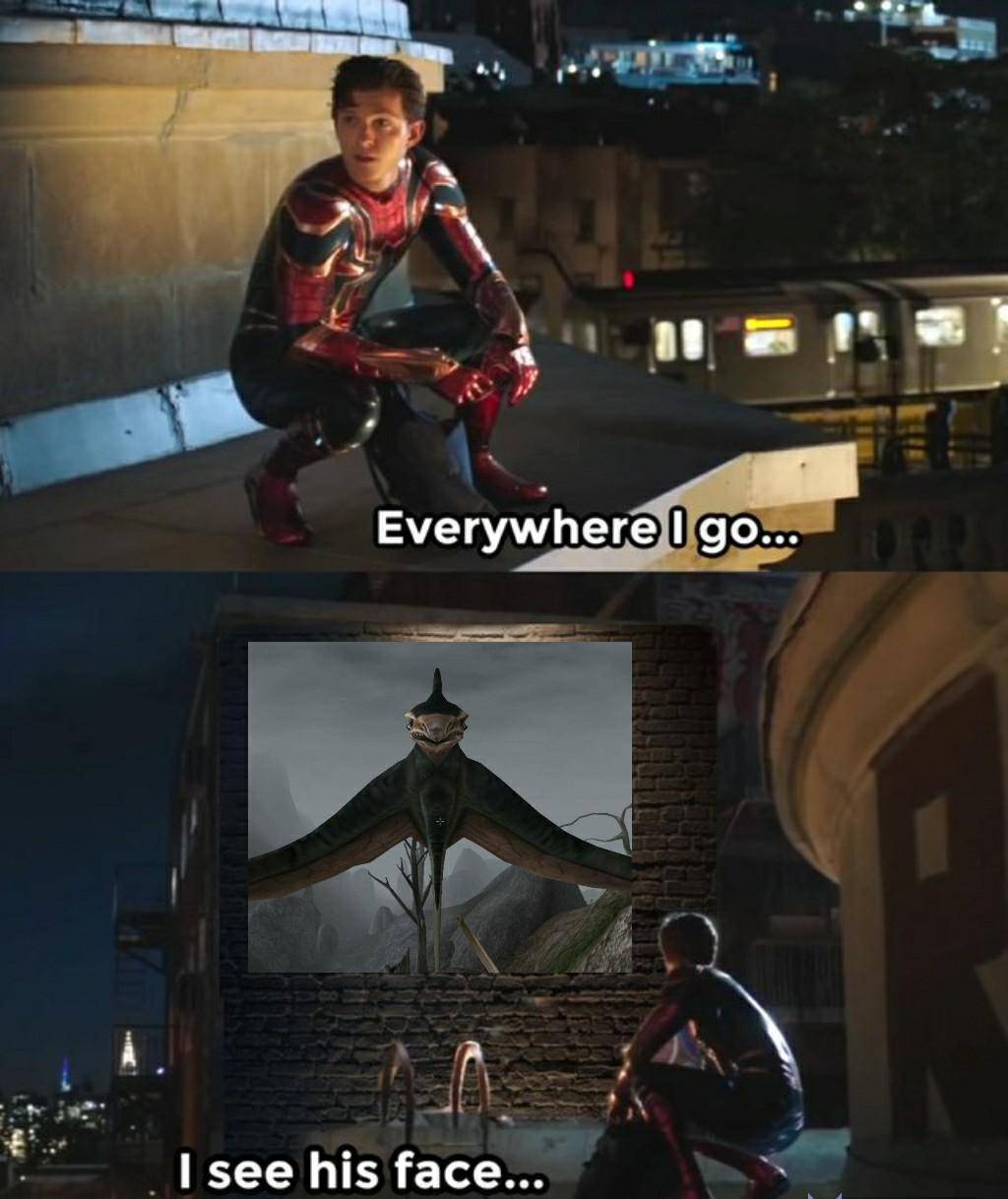 Literally everywhere. | Scrolller