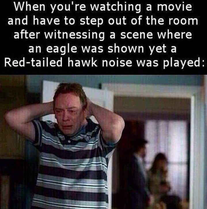 Literally shaking rn | Scrolller