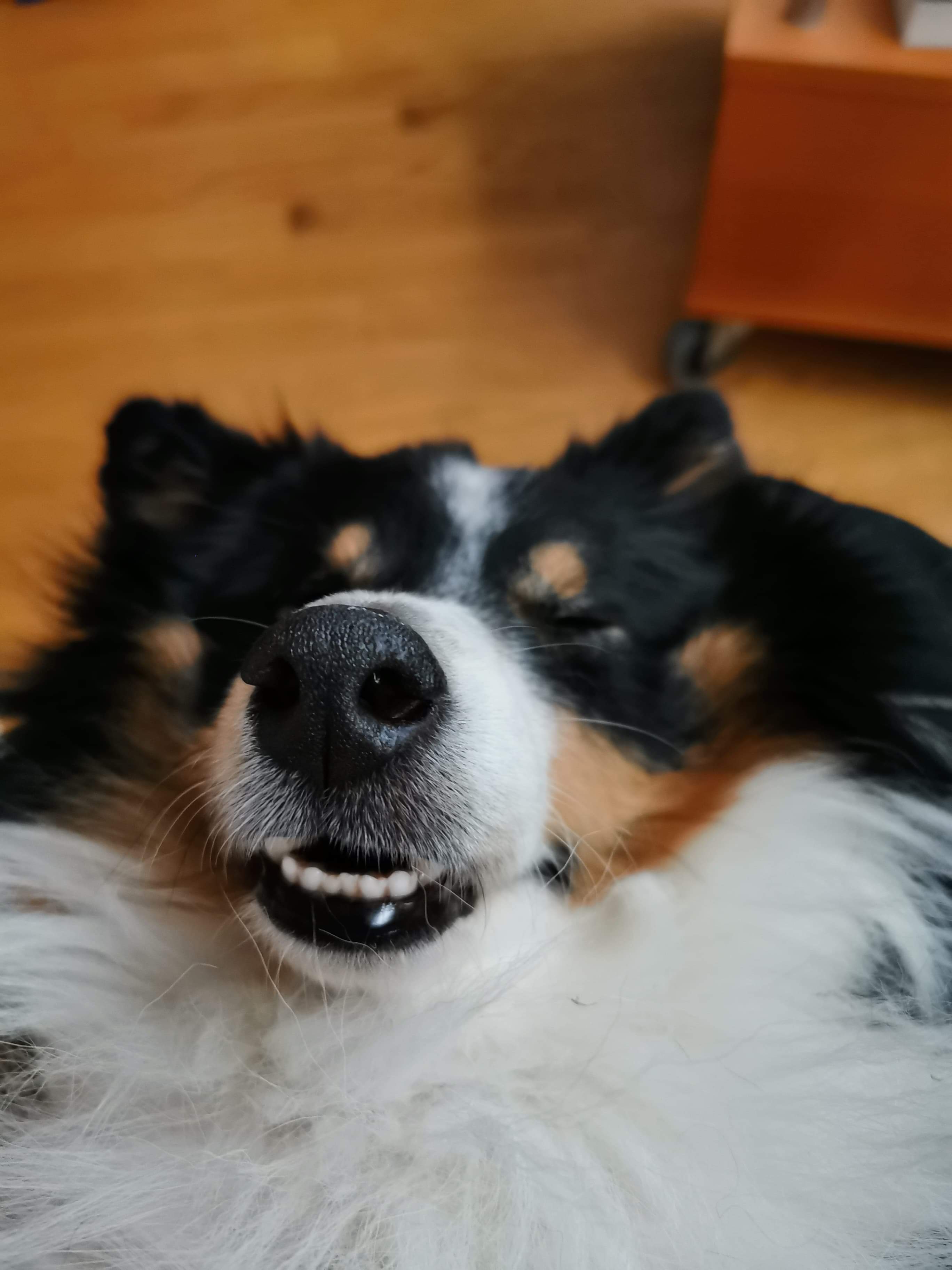 Literally the most comfortable boy ever | Scrolller