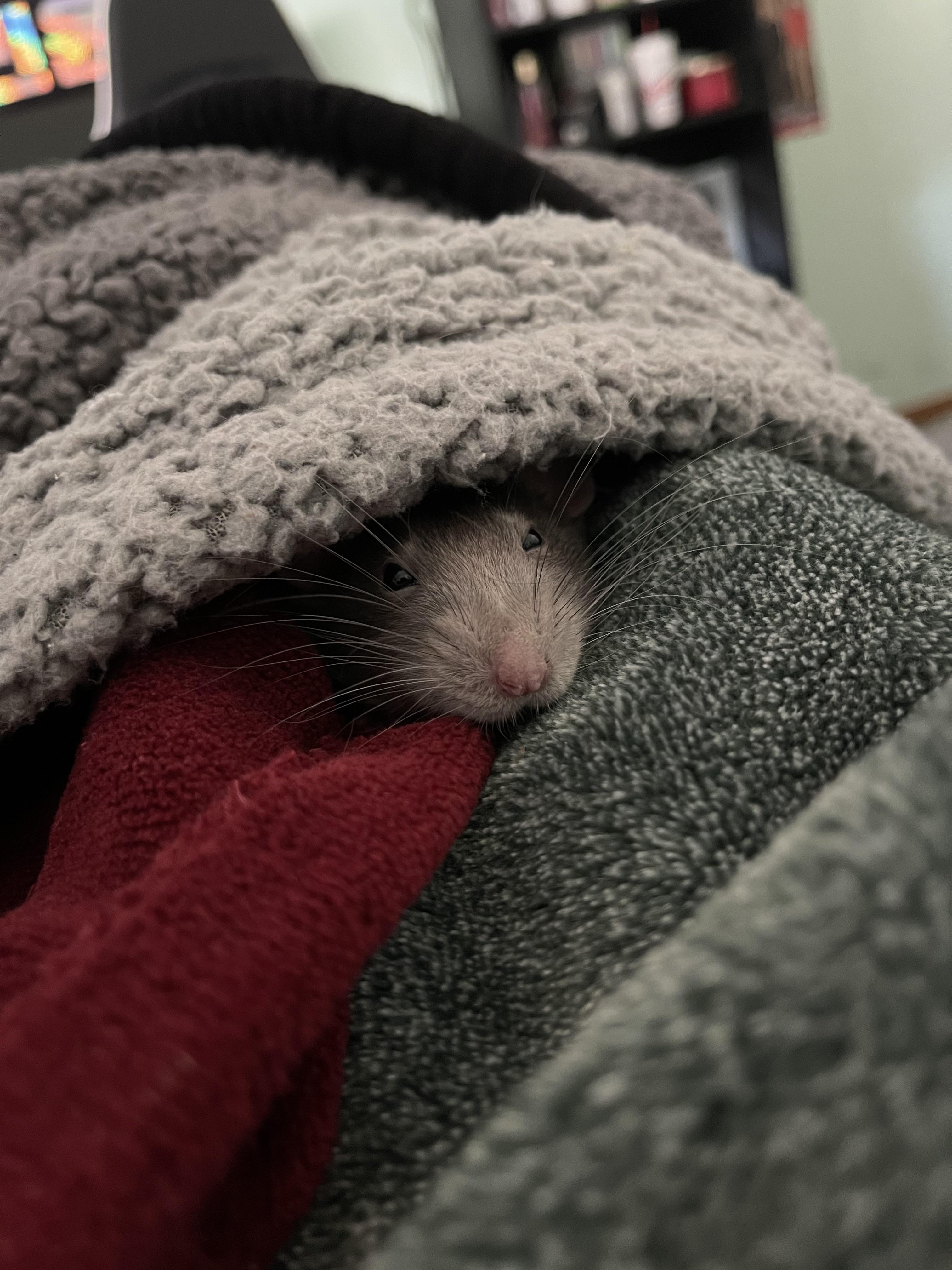 little baby’s nap spot | Scrolller