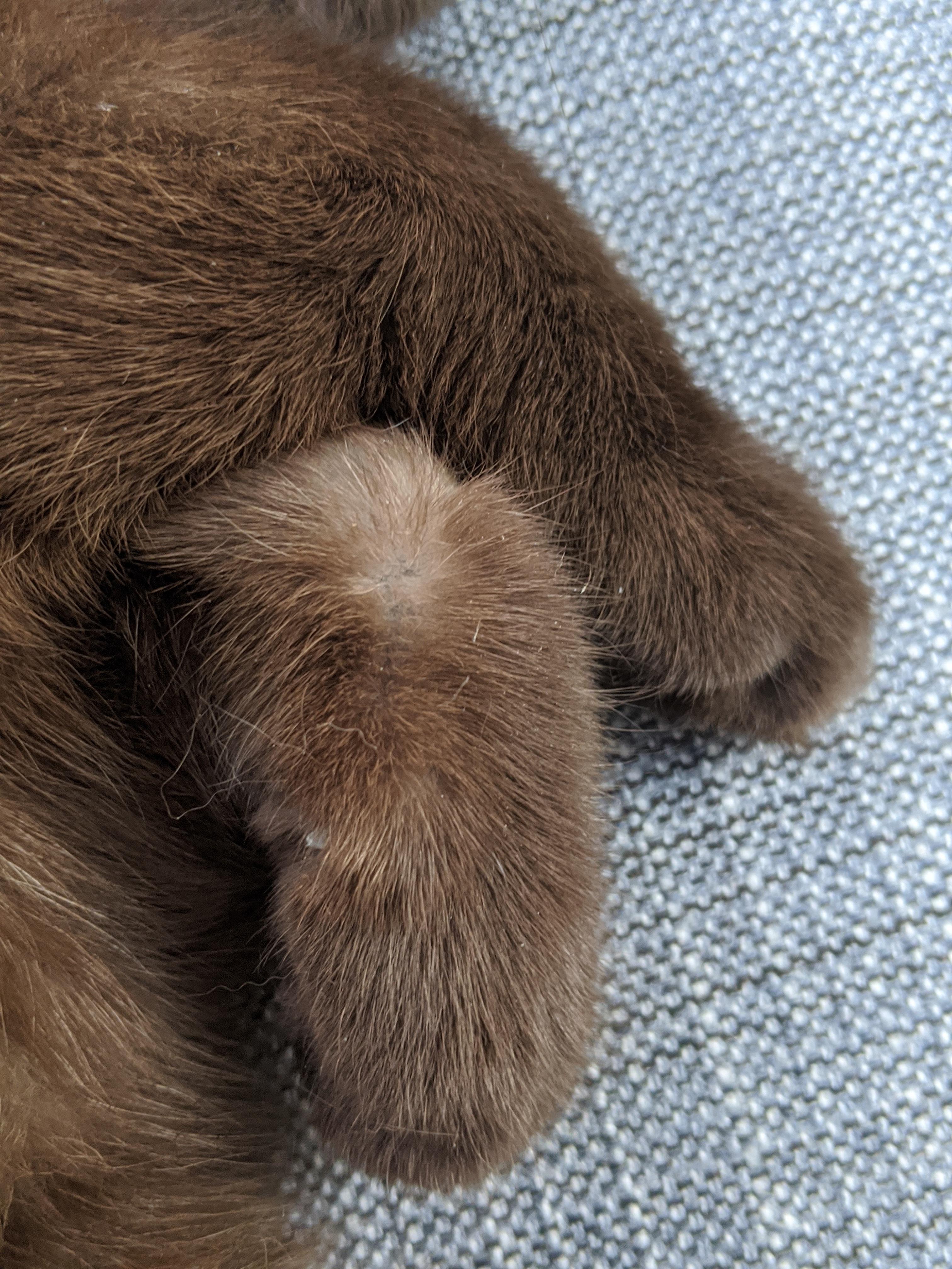 Little hands | Scrolller